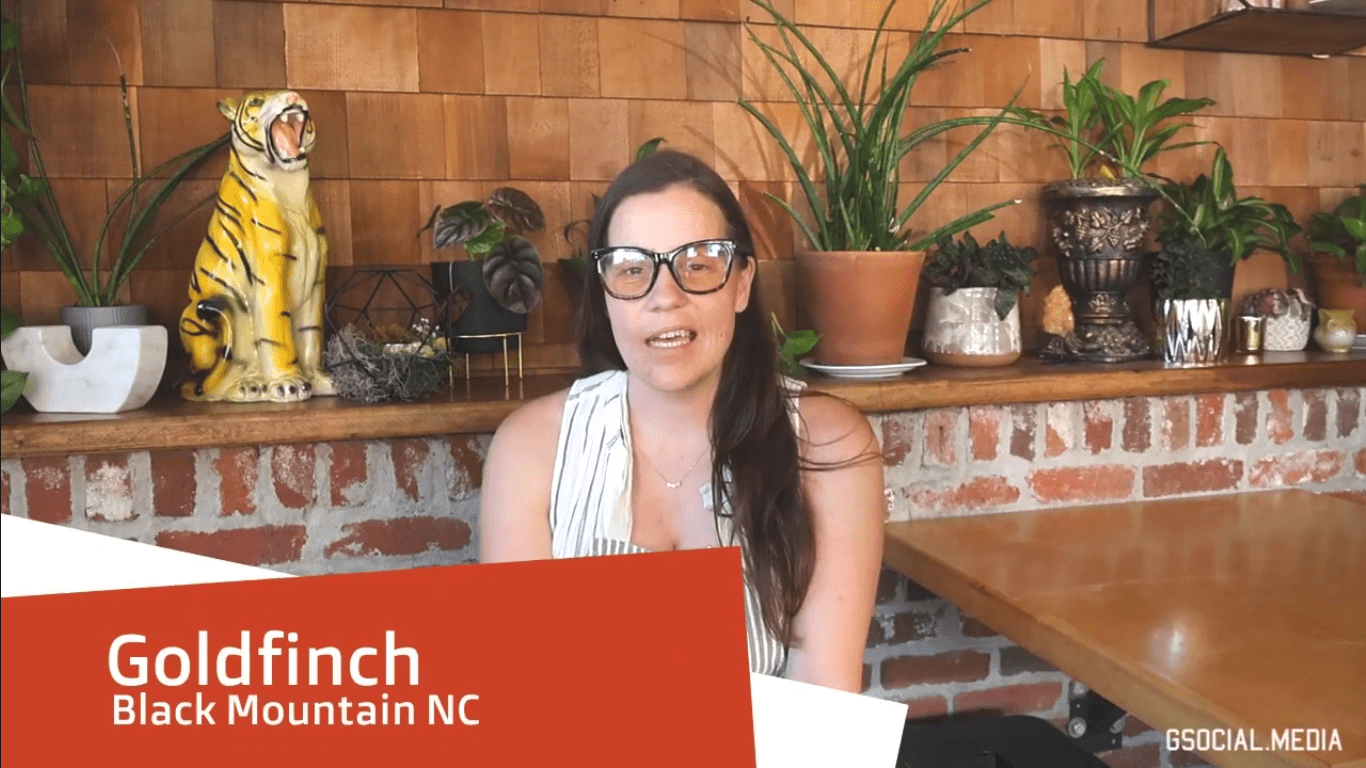 Goldfinch & The Lucky Penny: True Culinary Revival in Black Mountain ...